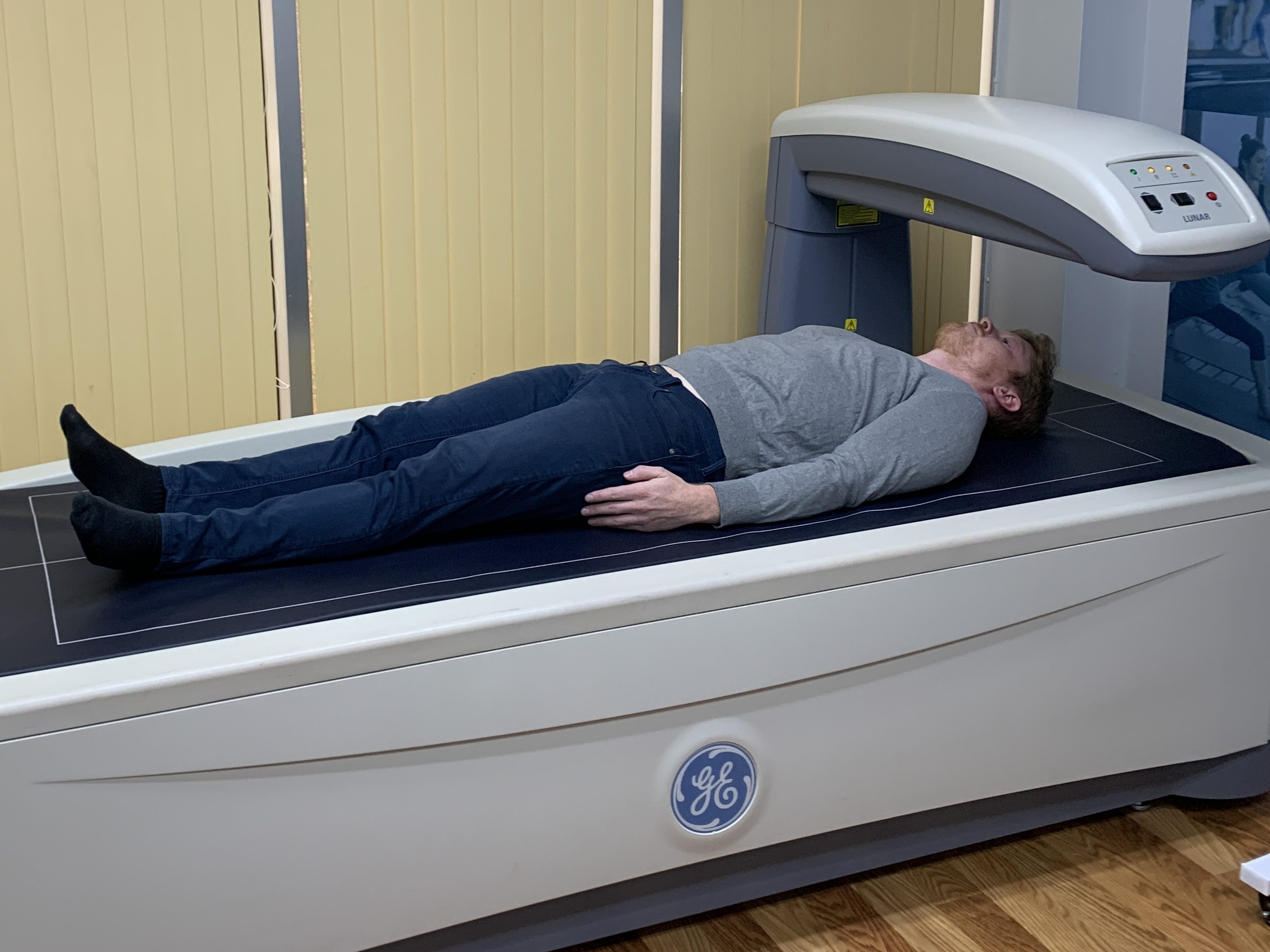Body Composition – DEXA Scan Results – the health engineer