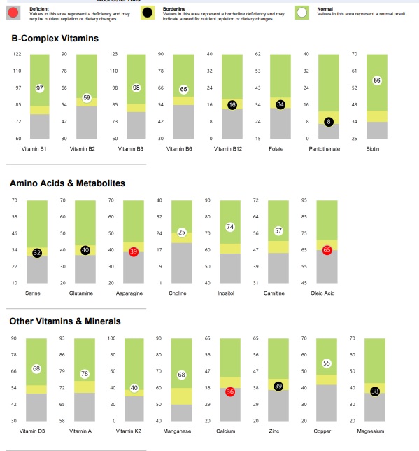 SpectraCell Micronutrient Test Results – the health engineer