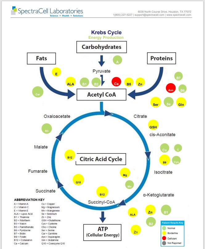 SpectraCell Micronutrient Test Results – the health engineer